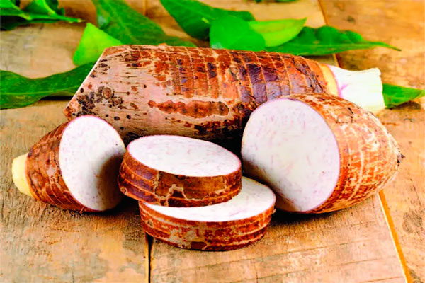 Yautia Blanca - Frutiks RD